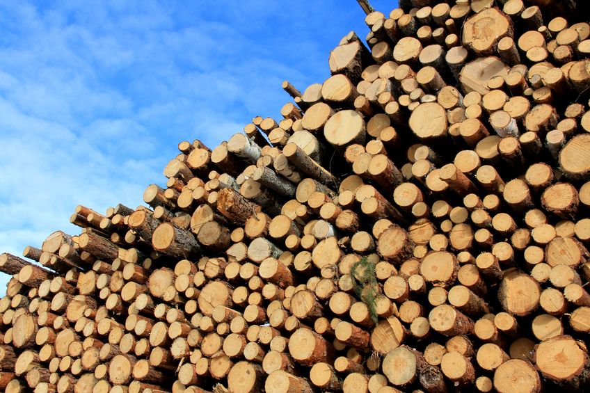 Logs & Kindling - Various Options Conveniently Packaged – Shilbottle ...